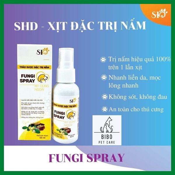 Xịt nấm thảo dược cho chó mèo FUNGI SPRAY an toàn cho thú nhỏ và mang ...