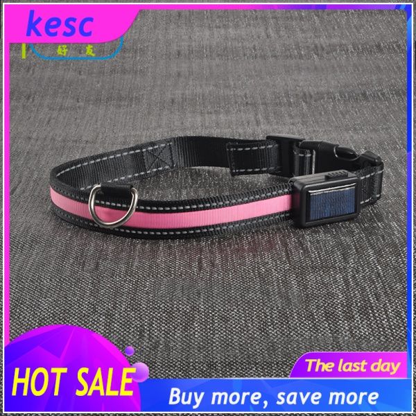 Glowing Pet Collar Solar EnergyLEDPet FlashUSBCharging Collar Teddy ...