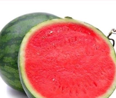 Benih Tembikai Tanpa Biji 5 pcs/Seedless Watermelon/无籽西瓜籽 | Lazada