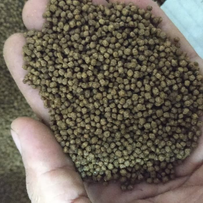 Pelet Ikan Lele Nila Patin 781-1 repack 500g | Lazada Indonesia