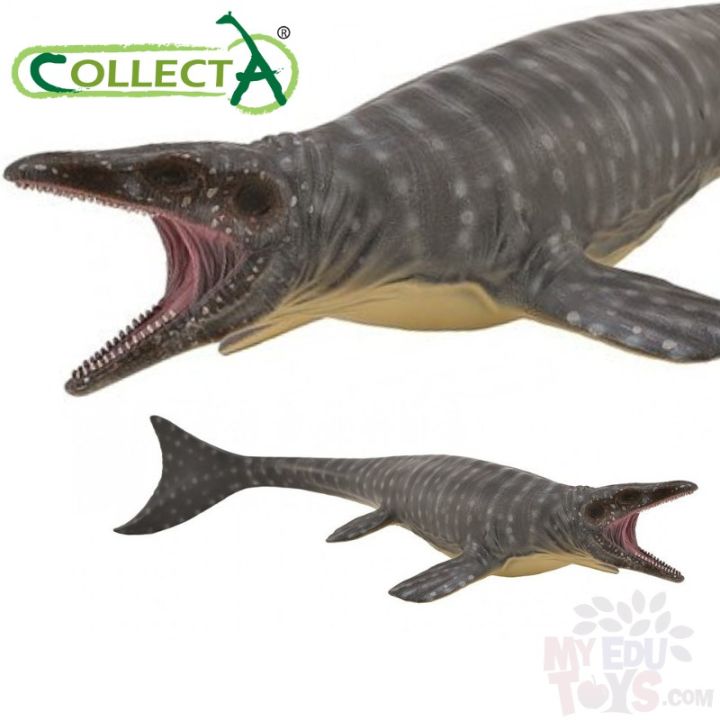 ♛Mosasaurus - Collecta 88677 Prehistoric Life Dinosaur Animal Action ...