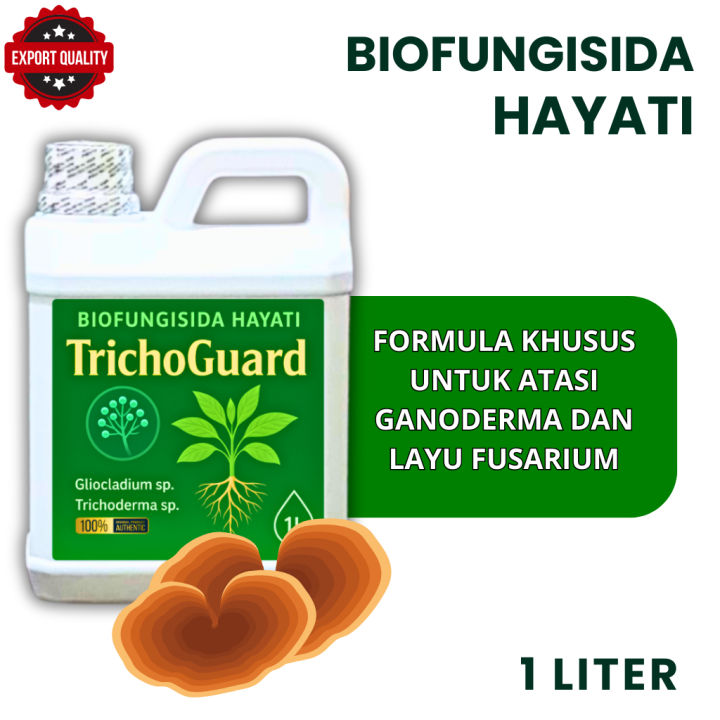 Biofungisida Atasi Akar Busuk Ganoderma Sawit | Gliocladium Trichoderma ...