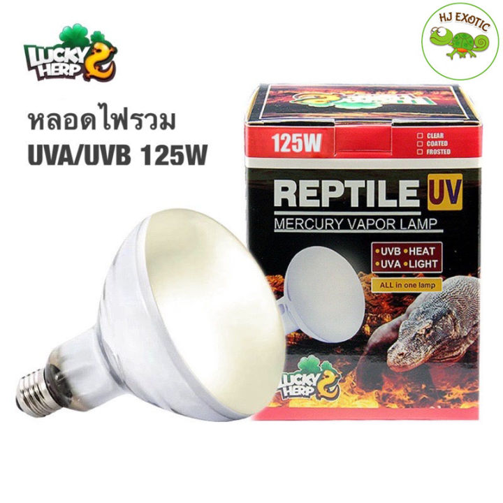 Lucky herp หลอดไฟ รวม UVA UVB ในหลอดเดียวกัน 125W | Lazada.co.th