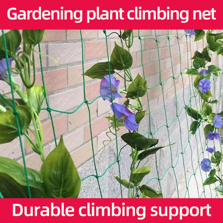 Plant Climbing Netting Durable Support Climbing Plants Vine Netting ...