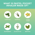 Pastel 2-in-1 Pocket Inhaler (1.5ml) [Menthol Vapors, Relieves Nasal ...