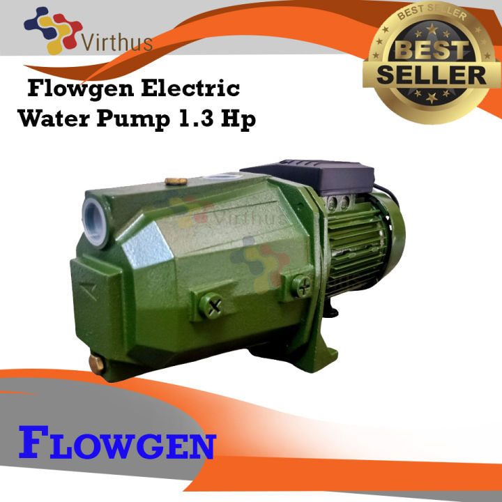Flowgen Electric Water Pump 1 Hp | Lazada PH