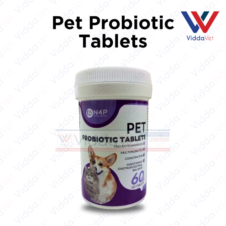 N4P PET PROBIOTIC TABLETS 120 TABLETS Advanced Digestive Health Formula ...