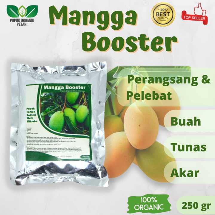Pupuk Mangga Booster Organik Pelebat perangsang Buah dan bunga penyubur tanah ampuh termurah ...