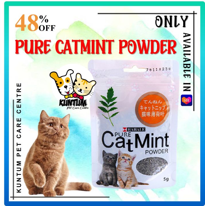 Cat Mint Catnip Premium Play Edition Powder Pack 5GRAM | Lazada