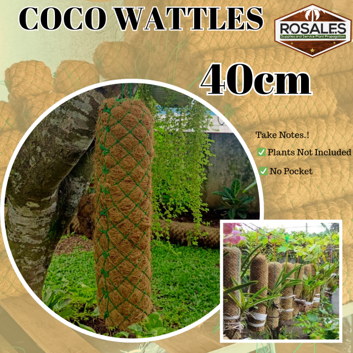 Coco wattles Hanging Pots for Orchids and etc | Lazada PH