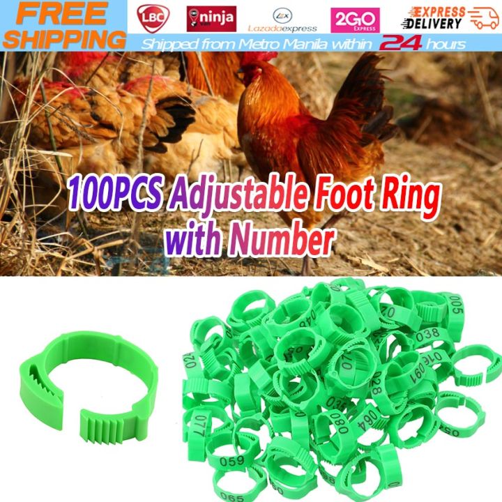 【Local Warehouse】100PCS Chicken Foot Ring Adjustable Size Poultry Leg ...