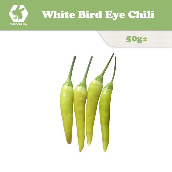 [BTW & PNG AREA ONLY] Bird Eye Chilli 【White】/ Cili Padi 【Putih 】50g± ...