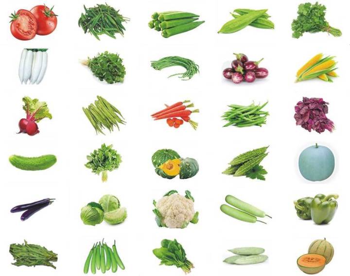 Assorted Vegetable Seeds | Iba't - Ibang Binhi ng Gulay Pangtanim sa ...