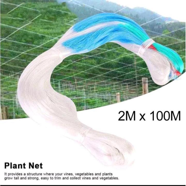 jaring rambatan tanaman 2m×100m jaring pertanian | Lazada Indonesia