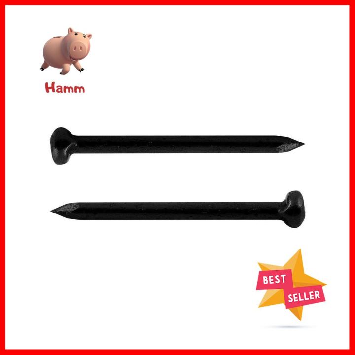 ตะปูคอนกรีตดำ DEXZON 30x2 มม. 100 ตัวCONCRETE NAILS DEXZON 30X2MM BLACK 100EA **ด่วน สินค้าเหลือ ...