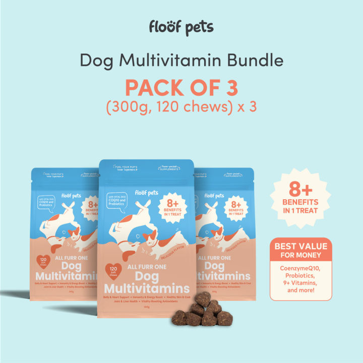 Floof Pets 8 in 1 Dog Multivitamin Treat 300g with Probiotics (Pets ...
