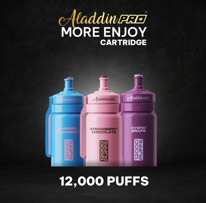 ALADDIN MORE ENJOY 12000 PUFF ENJOY 12K CARTRIDGE DISPOSABLE POD ...