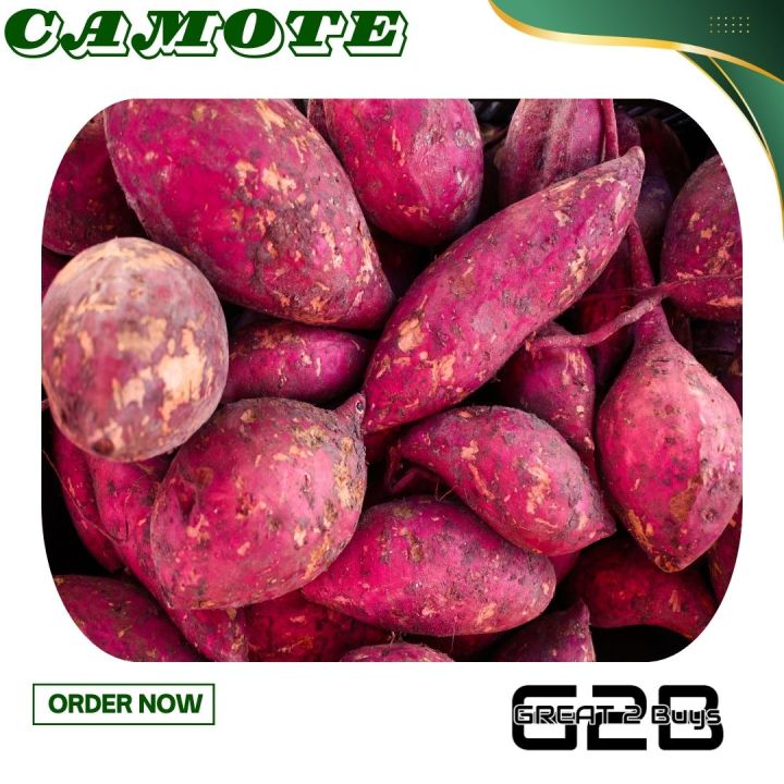 Red or Purple Skin Benguet Kamote Sweet Potato Small to Large Size 250 ...