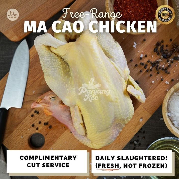 Premium Fresh Free-Range MaCao Chicken (1.6 ~ 1.8kg) HALAL | Lazada