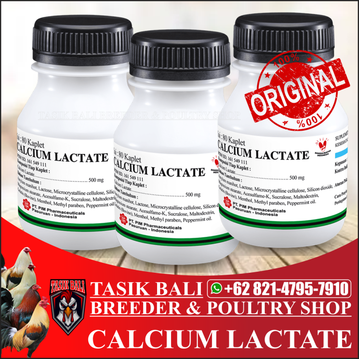 CALCIUM LACTATE 80 kaplet | Lazada Indonesia