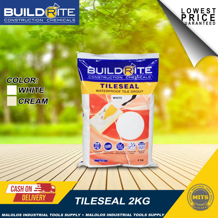 BUILDRITE TILE SEAL Tile Grout 2KG | Lazada PH