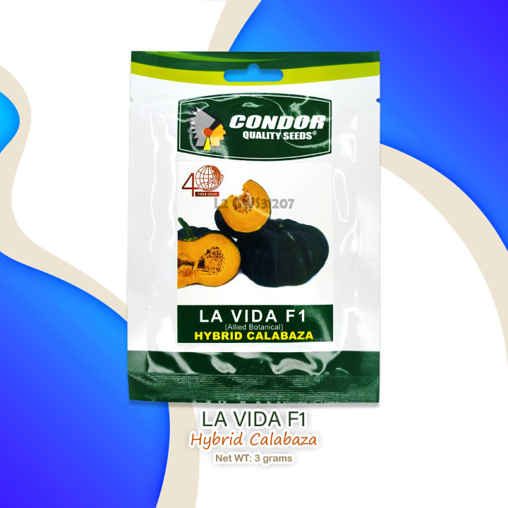 Condor Vegetable Seeds Calabaza Squash La Vida F1 | Lazada PH