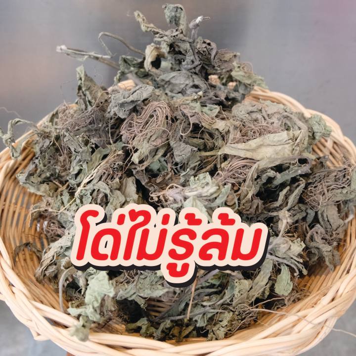โด่ไม่รู้ล้ม ของใหม่ ตากใหม่ทุกสัปดาห์ (100g./500g./1กก.) | Lazada.co.th