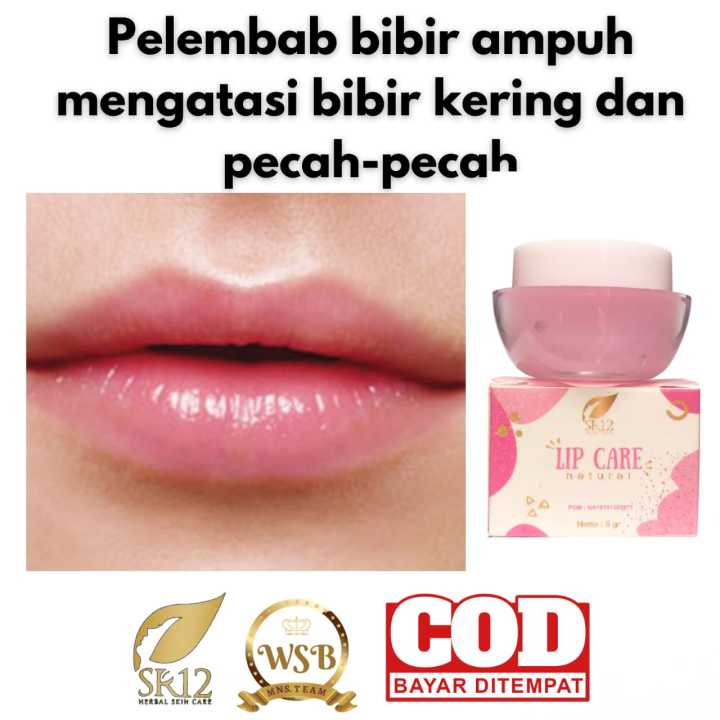 LIP CARE NATURAL SR12 PERAWATAN BIBIR KERING DAN HITAM | Lazada Indonesia