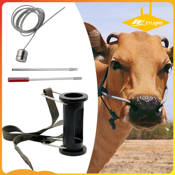 ZYLightt Magnet Cow Stomach Iron Extractor Veterinary Instruments Easy ...