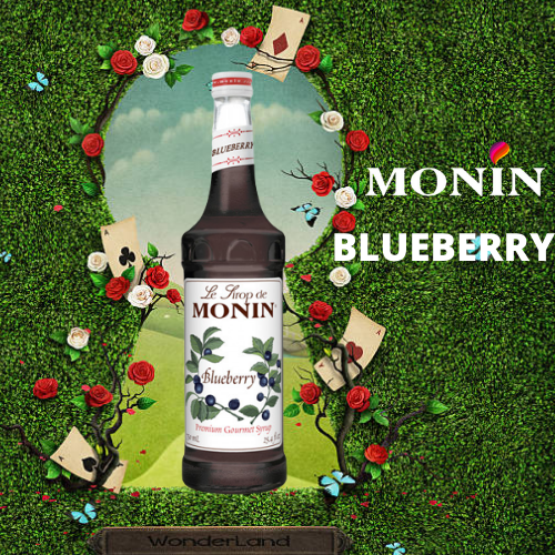 Monin Blueberry Flavoring Syrup 700ml | Lazada PH