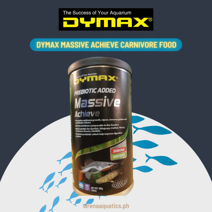 Dymax Massive Achieve Sinking Wafers - High Protein Fish Food for ...