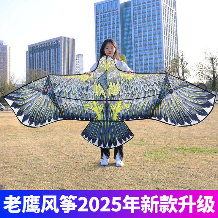 Kite Eagle Wholesale Stall Adult Easy-To-Fly Breeze With Wheel And E ...