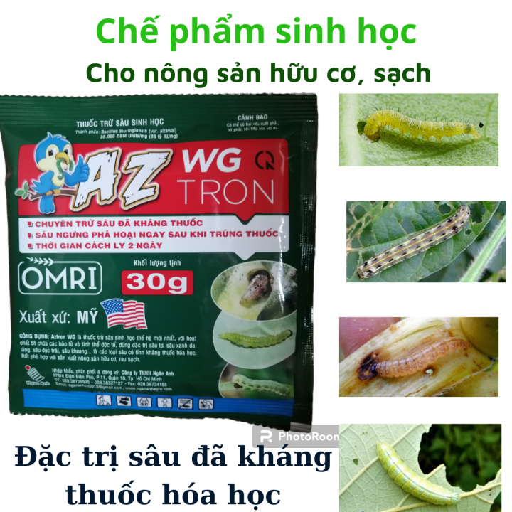 Chế phẩm sinh học cho nông sản sạch - AZTRON WG Hiệu quả với bọ trĩ ...