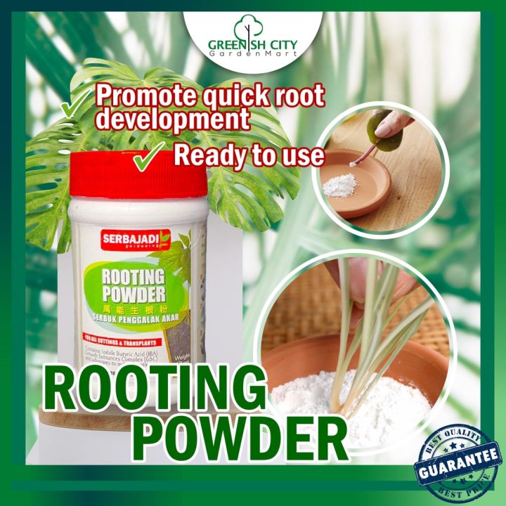 GNC - Plant Root Rooting Hormone Powder Hormon Pertumbuhan Akar 万能生根粉♂ ...