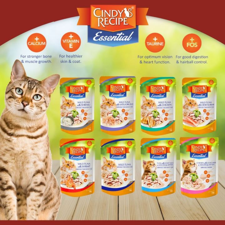 Cindy's Recipe Essential 70g Cat Wet Pouch Food | Lazada PH