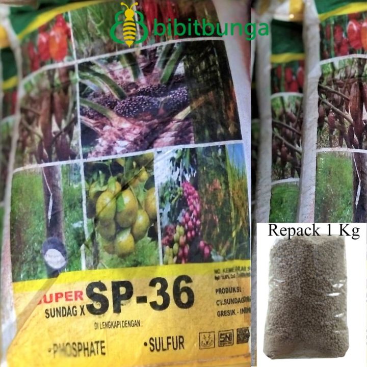 Pupuk GSP Super Phosphate Sundag – 1 Kg | Lazada Indonesia