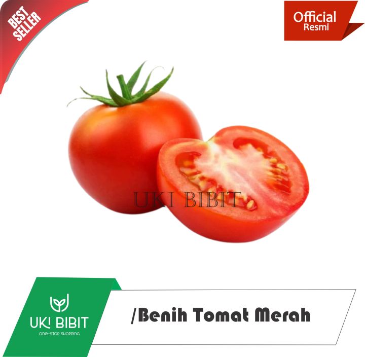 ( 100 Butir ) Benih Biji Tomat Merah | Tomat Sayur Merah | Lazada Indonesia
