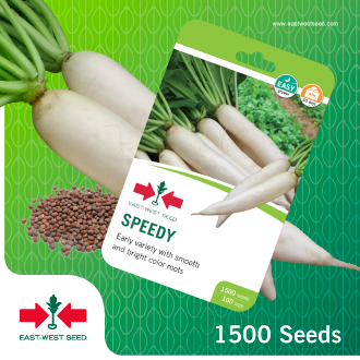 Eastwest Seed [SPEEDY] Labanos/Radish Go Grow Pack | Lazada PH