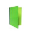 Pressboard Folder Green Local Expandable Folder 10 pieces | Lazada PH