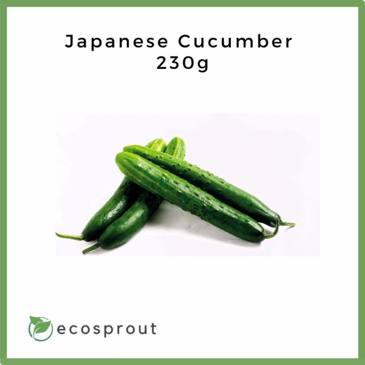 Japanese Cucumber | 250g-500g | Lazada PH
