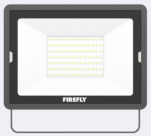Firefly Basic Series Terra LED Floodlight | Lazada PH