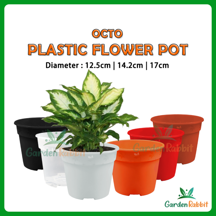 Octo Plastic Flower Pot Bunga Pasu Decoration Transparent Orchid Garden ...