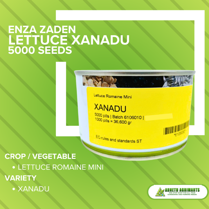 XANADU MINI ROMAINE LETTUCE SEEDS BY ENZA ZADEN 5000 pills can | Lazada PH