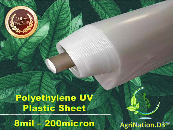 UV Plastic Sheet (6 mil - 150 Microns) - 10ft x 10 meter | Lazada PH