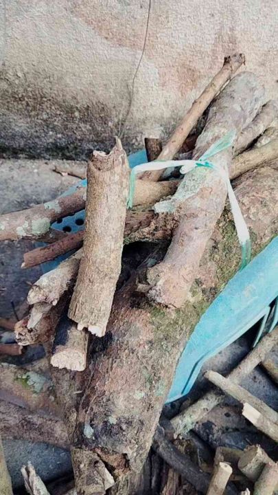 kayu api pokok rambutan & getah untuk camping & bbq. seikat 2 kg, free ...