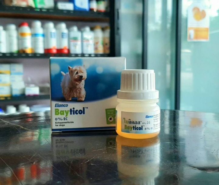 Bayticol 6% EC ไบติคอล ใช้ควบคุมและกำจัดตัวเบียนภายนอกของสุนัข เห็บ ...