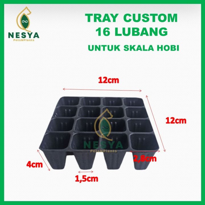 Tray Semai Trai Semai Custom 16 Lubang - Potray Custom | Lazada Indonesia