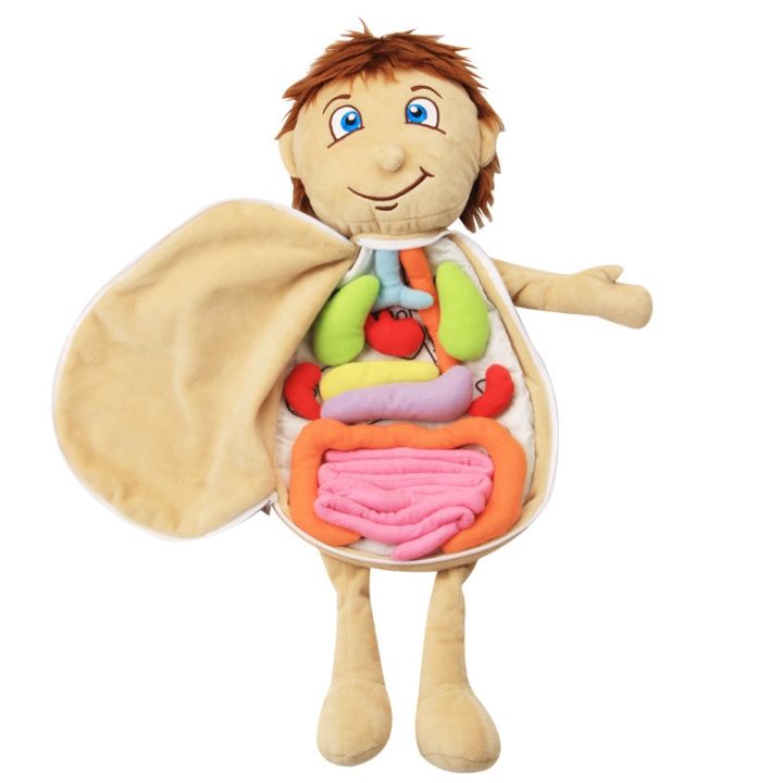Kids Assembled Plush Body Organs Toy Human Body Anatomy Plush Doll ...