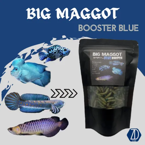 Maggot Kering Larva BSF Premium Booster Blue Pigmen Warna Untuk Pakan ...