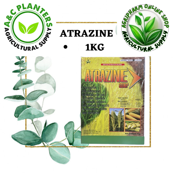 ATRAZINE 80WP HERBICIDE | Lazada PH